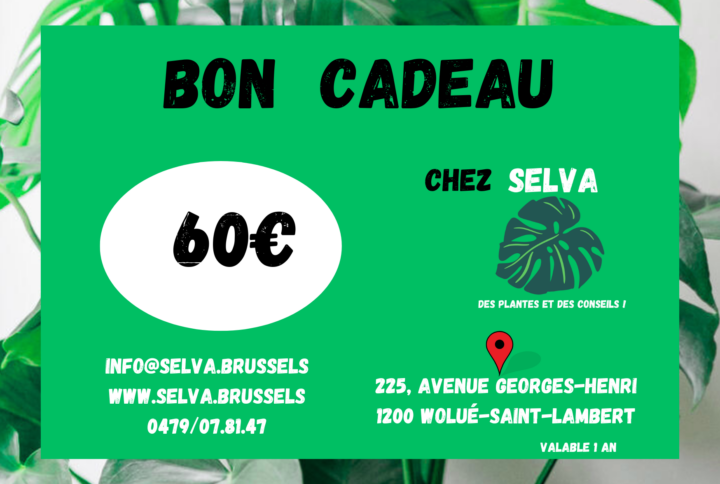 🎁 BON CADEAU - 80€ - Selva